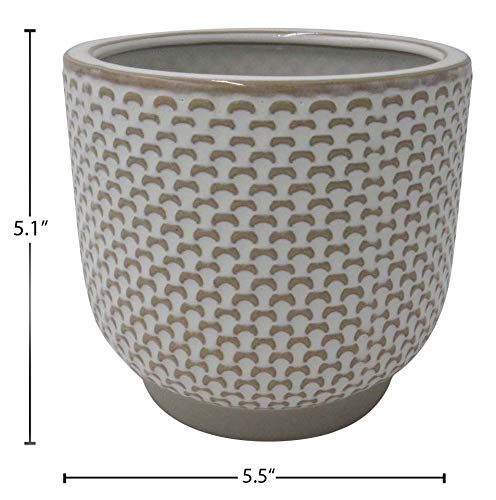 Amazon Brand – Stone & Beam Textured Stoneware Planter, 5.1"H, Ivory