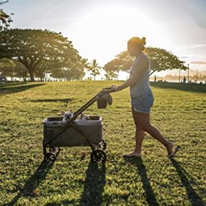 Baby Trend Expedition 2-in-1 Stroller Wagon PLUS, Ultra Black