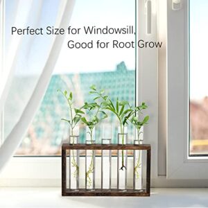 XXXFLOWER Wooden Stand with 5 Test Tube Propagation Station Wall Hanging Glass Planter Plant Terrarium Desktop Hydroponics, Water Plants for Home Office Decoration, Plant Lover Gifts