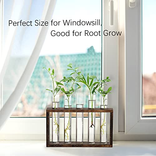 XXXFLOWER Wooden Stand with 5 Test Tube Propagation Station Wall Hanging Glass Planter Plant Terrarium Desktop Hydroponics, Water Plants for Home Office Decoration, Plant Lover Gifts