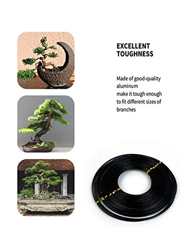 MoHern Bonsai Wire, 6 Sizes of 1mm, 1.5mm, 2mm, 2.5mm, 3mm, 4mm Black Aluminum Wire, Total 152 Feet Bonsai Tool Kit, 300 Grams Bonsai Tree Wire for Bonzai Trees Indoor