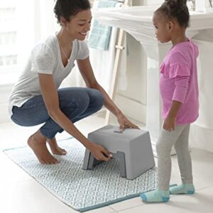 Skip Hop Toddler Step Stool, Double Up