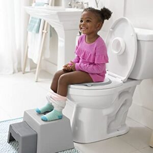 Skip Hop Toddler Step Stool, Double Up