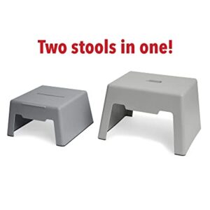 Skip Hop Toddler Step Stool, Double Up