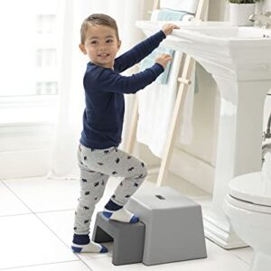 Skip Hop Toddler Step Stool, Double Up