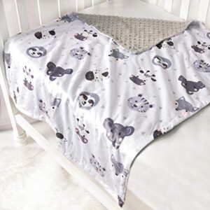 BEILIMU Baby Blanket Super Soft Plush with Double Layer Dotted Backing, Lovely Brown Animals Printed Unisex Design Receiving Blanket, 30x40 Inch