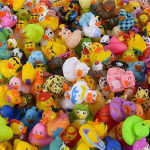 Assortment Rubber Duck Toy Duckies for Kids, Bath Birthday Gifts Baby Showers Classroom Incentives, Summer Beach and Pool Activity, 2" (25-Pack)