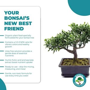 Bonsai Tree Food | Liquid Fertilizer for Bonsai Trees - 8 Fluid Ounces