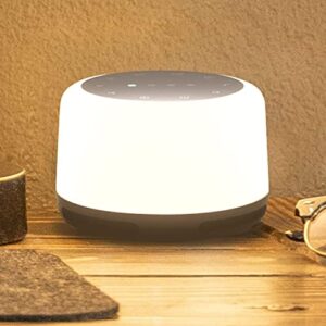 anescra white noise sound machine and night light for home office with 24 soothing nature sounds,16 levels volume, portable sleep sound timer therapy for baby adults kids, sleeping aid|usb type-c