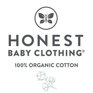 HonestBaby unisex-Baby-Organic Cotton Short Sleeve T-shirt Multi-packs and Toddler T Shirt Set, 10-pack Rainbow-Boy, 3T US