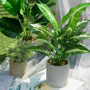 JC nateva 16" Small Fake Plants Artificial Potted Faux Plants for Office Desk Shelf Bathroom Home Decor