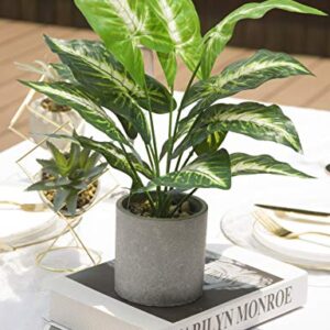 JC nateva 16" Small Fake Plants Artificial Potted Faux Plants for Office Desk Shelf Bathroom Home Decor