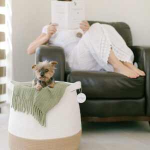 Large Blanket Basket for Living Room - Decorative Woven Baskets for Storage, Cotton Rope Baskets for Storage 16”x18”, Round Basket, Tall Laundry Hamper Basket, LuxiLily Baskets