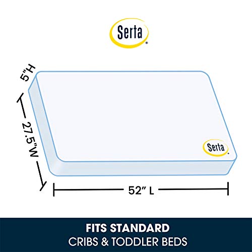 Delta Children Birkley Convertible Crib N Changer, Bianca White + Serta Perfect Slumber Dual Sided Recycled Fiber Core Crib and Toddler Mattress (Bundle)