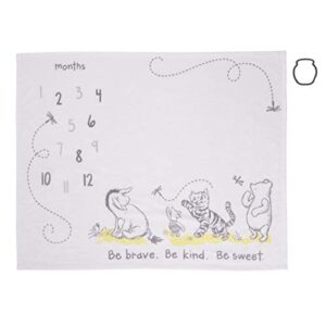 disney classic winnie the pooh, white, grey & lime super soft milestone baby blanket, white, grey, lime, charcoal