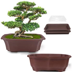 muzhi 2 pack 8" unglazed ceramic bonsai tree pot training planter with drainage wiring hole, breathable handmade zisha pottery growing plant pot with mesh drip tray indoor outdoor