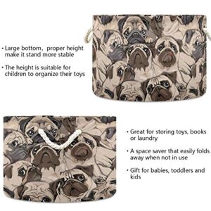 MNSRUU Storage Basket 20"x14" Vintage Cute Pug Dogs Collapsible Organizer Basket with Handles, Fabric Nursery Laundry Basket Large Capacity