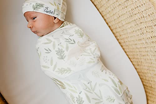 Large Premium Knit Baby Swaddle Receiving Blanket"Rex" by Copper Pearl