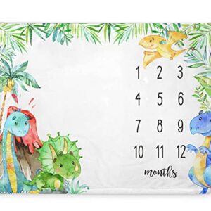 Popfavors Dinosaur Baby Monthly Milestone Blanket, Dinosaur Baby Growth Chart Milestone Blanket, Newborn Month Blanket for Boy & Girl, Includes Marker (50"x40")