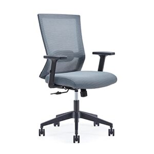 farini office chair, mid-back ergonomic mesh chair executive swivel desk chair with lumbar support adjustable height arm (grey)