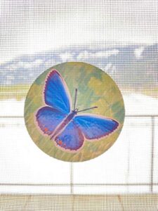 retractable screen door decals (stickers) - 6 per package - keep children safe - alert birds, dogs, kids - warn, protect, window safety - butterflies