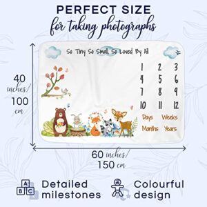 Luka&Lily Baby Monthly Milestone Blanket Boy and Girl, Milestone Blanket Baby Boy, Baby Month Blanket | Baby Boy Blanket, Newborn Baby Shower Girls, Baby Boy Gifts, Baby Girl Gifts, Bib+Markers 60x40