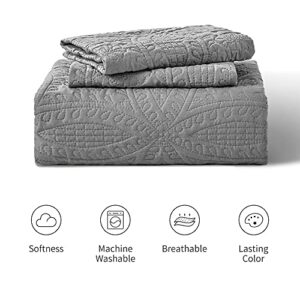 Love's cabin King Size Quilt Set Grey Soft Bed Summer Bedspreads - Lightweight Microfiber- Modern Style Coin Pattern Coverlet for All Season - 3 Piece (1 Quilt, 2 Pillow Shams)