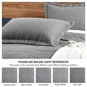 Love's cabin King Size Quilt Set Grey Soft Bed Summer Bedspreads - Lightweight Microfiber- Modern Style Coin Pattern Coverlet for All Season - 3 Piece (1 Quilt, 2 Pillow Shams)