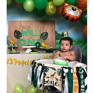 Ullovit First 1st Birthday Crown for Baby Boys Prince, Sparkle Gold Green Wild One Birthday Hat Headband Cake Smash Photo Decoration by Moonlightgo