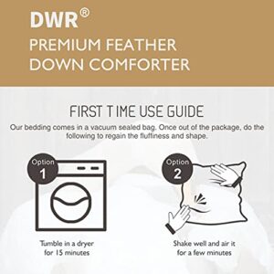 DWR Lightweight Feather Down Comforter Queen, 100% Cotton Cover, Summer Warm Weather Bed Quilt, Thin All-Season Duvet Insert for Hot Sleepers (Ivory White, 90x90)