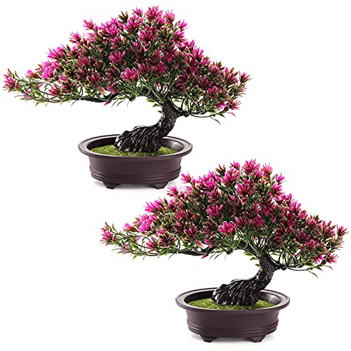 ZEAYEA 2 Pack Artificial Bonsai Tree, Small Fake Plants Decor, Indoor Faux Potted Plant for Living Room Home Table Bathroom Bedroom Office Shelf Farmhouse Decorations, 9.5" Height