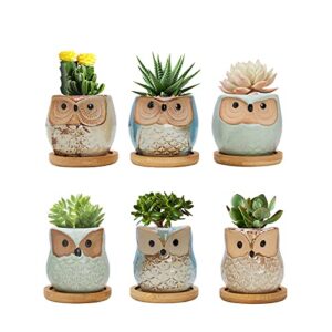 warmplus 2.5 inch owl succulent plant pots - mini ceramic planter with drainage hole for mini succulent plants, plants not included, cute succulent kit 6 pack