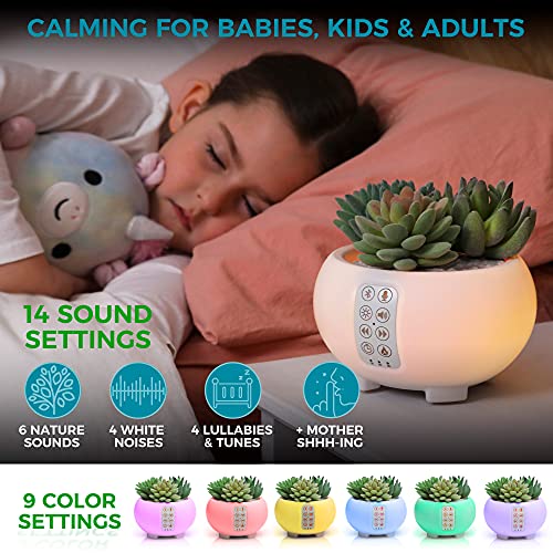 Oasis 3-in-1 White Noise Machine for Adults, Kids & Baby Sleeping – Must Haves Sleep Sound Machine with Baby Shusher White, Pink, Gray, Brown Noise, Music & Nature Sleep Sounds for Deep Restful Sleep