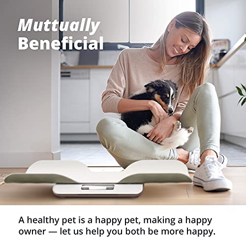 Greater Goods Digital Pet Scale - Accurately Weigh Your Kitten, Rabbit, or Puppy | with a Wiggle-Proof Algorithm, a Great Option as a Scale for Small Animals | Designed in St. Louis