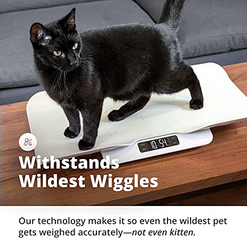 Greater Goods Digital Pet Scale - Accurately Weigh Your Kitten, Rabbit, or Puppy | with a Wiggle-Proof Algorithm, a Great Option as a Scale for Small Animals | Designed in St. Louis