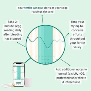 kegg Fertility Tracker + Free Fertility App | 12-Month Pregnancy Warranty | No Recurring Costs | Predicts Fertile Window | Helps Exercise Pelvic Floor Muscles