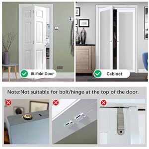 BILLROAD Metal Bifold Door Lock - Double Door Child Safety Locks Keep Toddler, Cats&Dogs Out of Closets, Cabinets, Pantry - No Need Install (1PC)