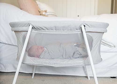 Regalo Baby Basics™ Infant Bassinet, Gray, Portable and Collapsible, Includes Padded Insert