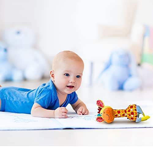 HUADADA Baby Soft Rattles Shaker, Infant Developmental Hand Grip Baby Toys, Baby Sensory Learning Toys with Teether, Sounds for Baby and Stuff from 3-6-9-12 Months Old