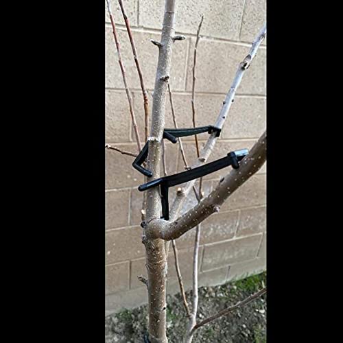 50Pieces Fruit Tree Branch Limb Spreader for Strong Spreading Crotch Angles Branches,Plastic Bonsai Branch Trunk Spreaders Modelling Tool Black