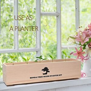 Meekear 5 Bonsai Tree Seeds with Complete Growing Kit & Wooden Flower Box Starter Kit, Great Potted Growing DIY Gift for Adults