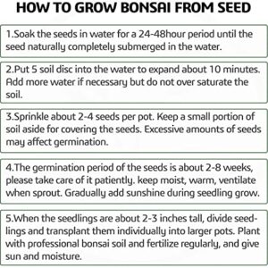 Meekear 5 Bonsai Tree Seeds with Complete Growing Kit & Wooden Flower Box Starter Kit, Great Potted Growing DIY Gift for Adults