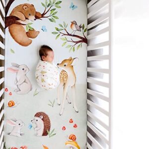 Rookie Humans 100% Cotton Sateen Fitted Crib Sheet: Enchanted Forest. Modern Nursery, Use as a Photo Background for Your Baby Pictures. Standard Crib Size (52 x 28 inches) Woodland Theme