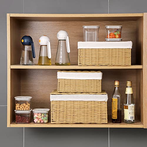 Plastic Woven Storage Bins With Lids Decorative Bathroom Closet Container Kids Toy Box Blanket Basket Small Wicker Shelves Nursery Trunk Baby Organizer Chest Photo Book Pantry Rattan Cube Room Storage