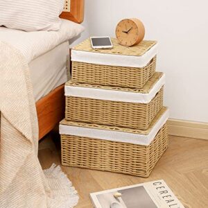 Plastic Woven Storage Bins With Lids Decorative Bathroom Closet Container Kids Toy Box Blanket Basket Small Wicker Shelves Nursery Trunk Baby Organizer Chest Photo Book Pantry Rattan Cube Room Storage