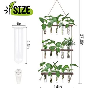 XXXFLOWER Wall Hanging Propagation Station with Wooden Stand 5 Glass Test Tubes 3 Tiered Planters Wall Terrarium for Home Office Plant Hanger Flower Vases Wall Decor Hydroponic Cuttings