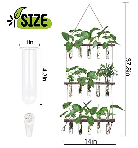 XXXFLOWER Wall Hanging Propagation Station with Wooden Stand 5 Glass Test Tubes 3 Tiered Planters Wall Terrarium for Home Office Plant Hanger Flower Vases Wall Decor Hydroponic Cuttings