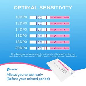 Pregnancy Tests with Cup, 25 Bulk Pregnancy Test Strips for Home Detection, Over 99% Accuracy, Individually Wrapped Fertility Tests, Extra-Wide 5mm HCG Test Kit Comfortable Grip, Pruebas De Embarazo