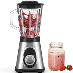 Smoothie Blender, 750W Smoothie Maker, with 2 Adjustable Speed and Pulse Functions, Kitchen Blender with 48 oz Tritan Glass Jar for Milkshakes, Smoothies, Crushed Ice and Frozen Fruit