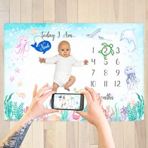 Baby Monthly Milestone Blanket Boy and Girl - Extra Soft Fleece Blanket for Baby Shower - Milestone Blanket Baby Boy and Girl Nursery Decor - Capture Baby Growth - with Whale Chalkboard + 2 Frames